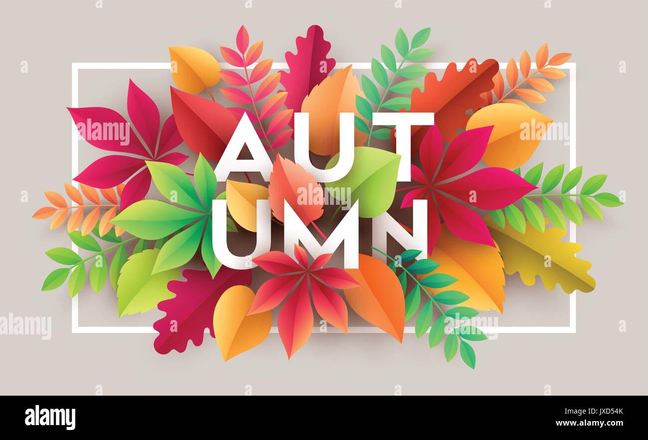 Autumn banner background with paper fall leaves. Vector illustration ...