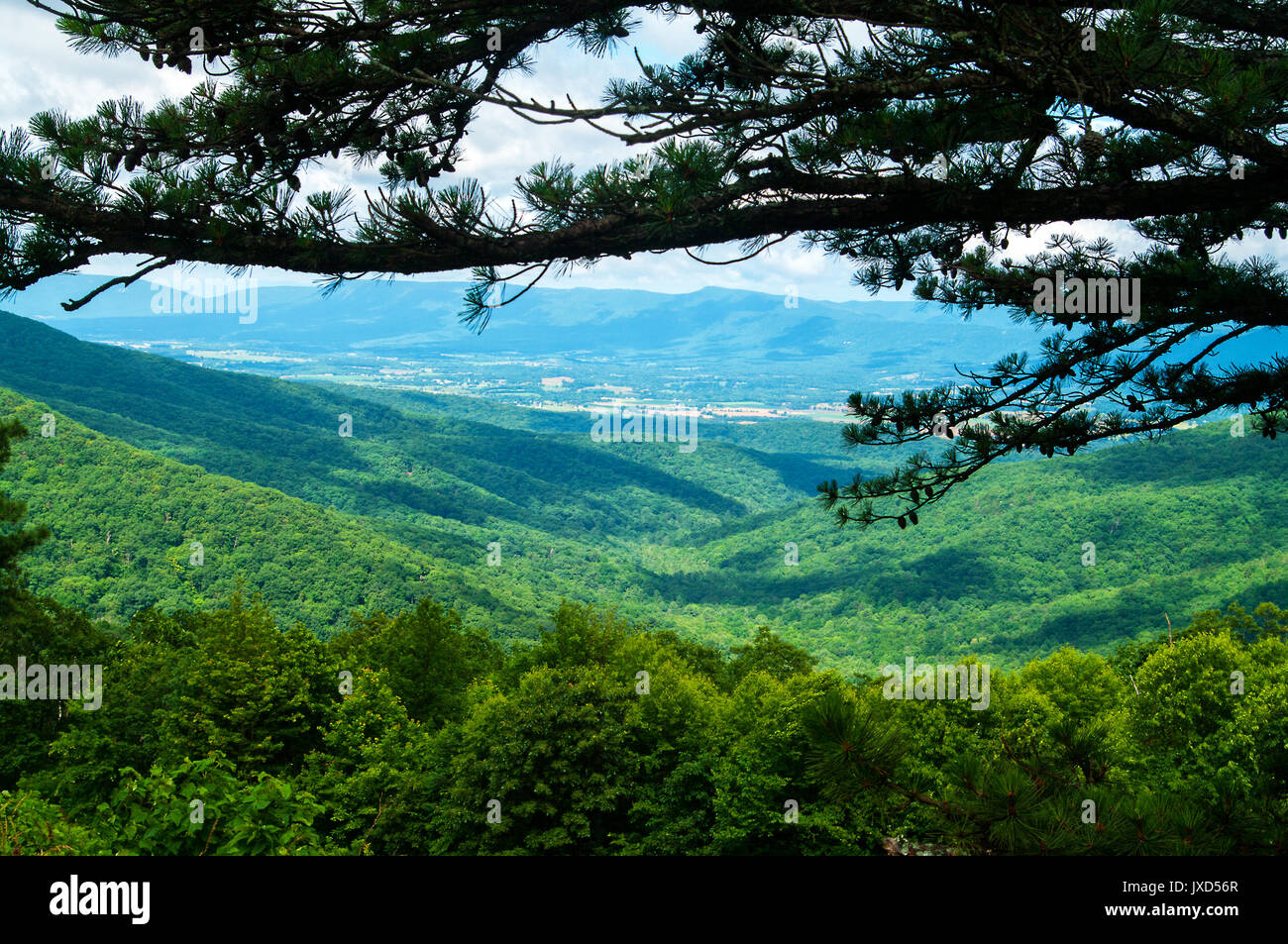 Shenandoah forest hi-res stock photography and images - Alamy