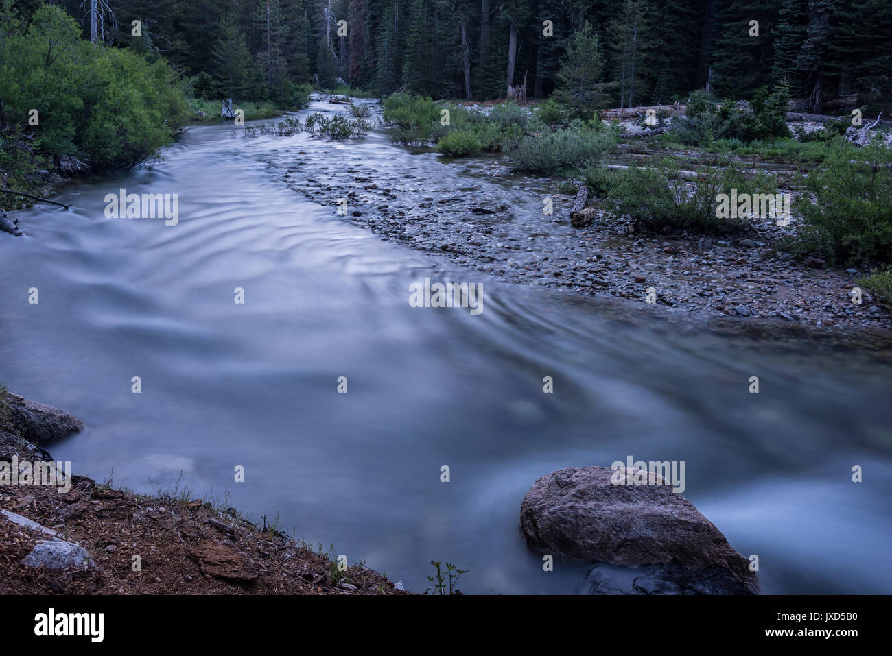 Water Flowing in River in Sequoia National Park Stock Photo - Alamy