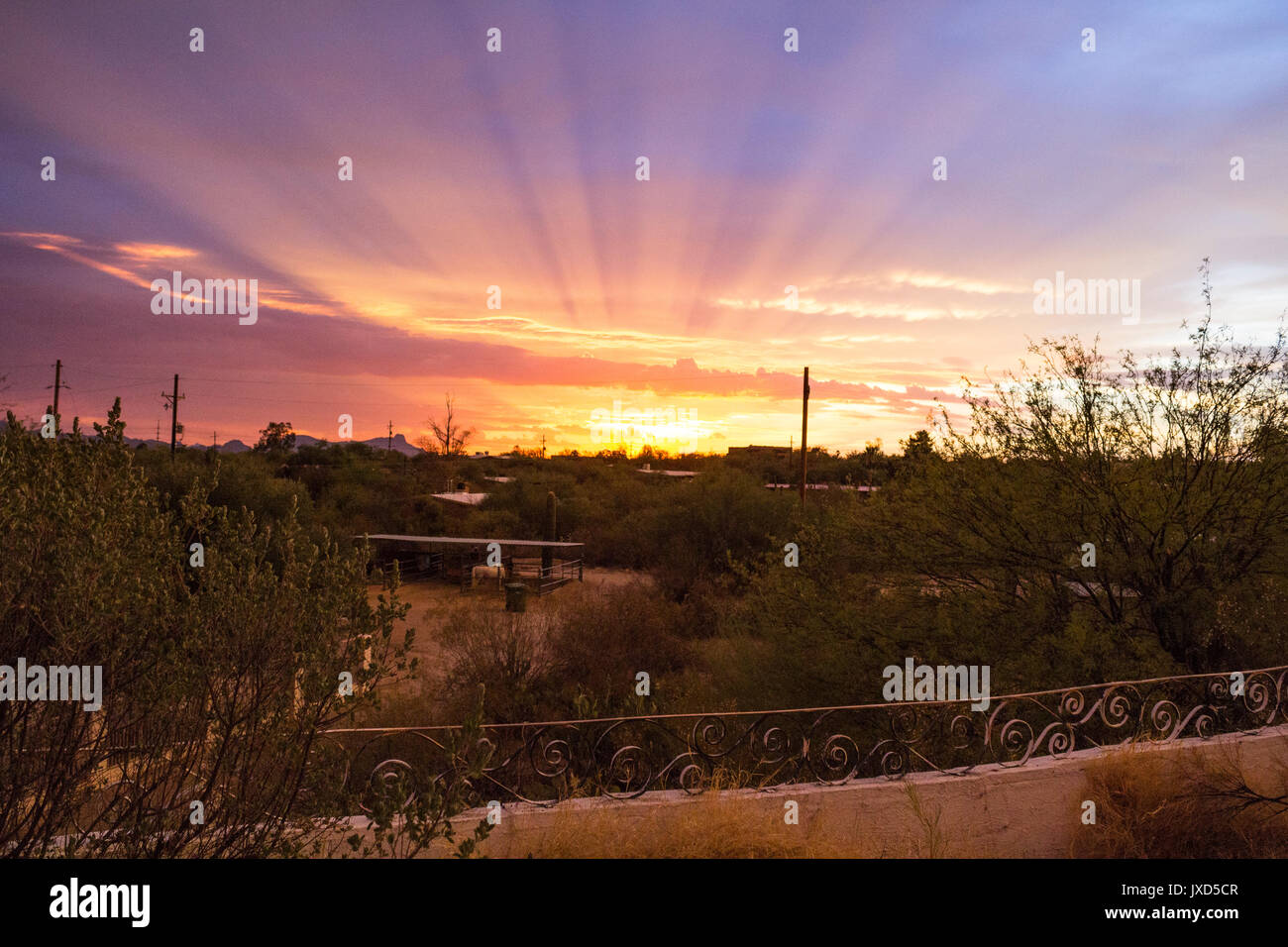 Tucson nature hi-res stock photography and images - Alamy