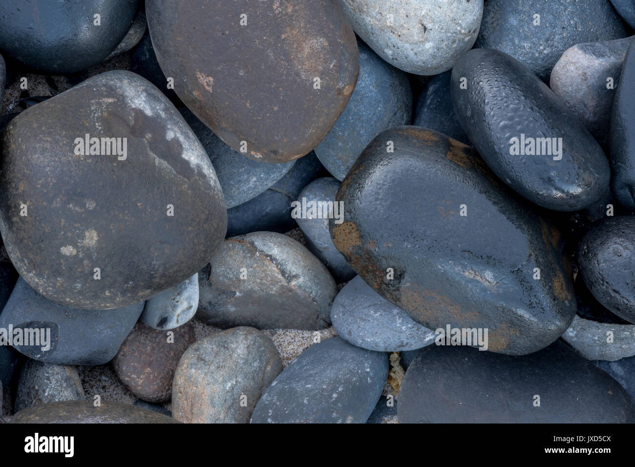 Wet Beach Rocks Close Up Horizontal Background Image Stock Photo - Alamy