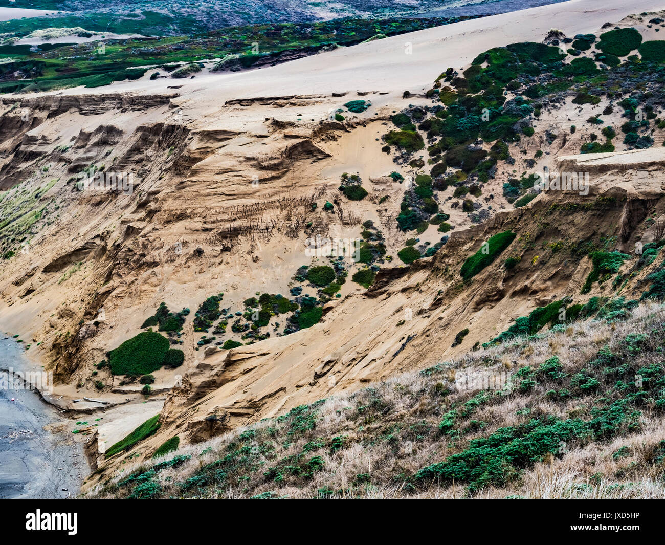 pr reyes beach from pt reyes lighthouse trail, pt reyes national ...