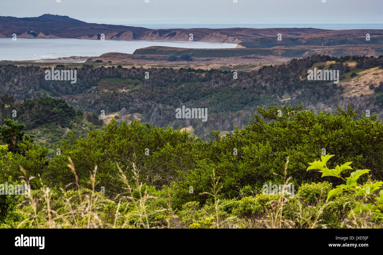 Drakes bay hi-res stock photography and images - Alamy