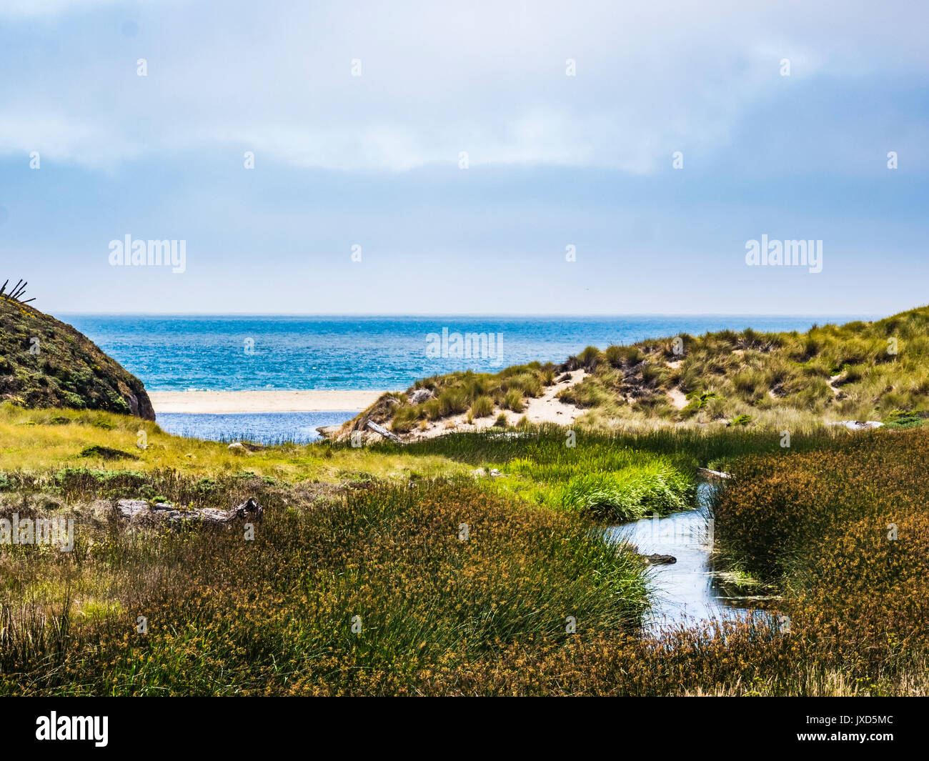 kehoe beach, pt reyes national seashore, ca us Stock Photo - Alamy
