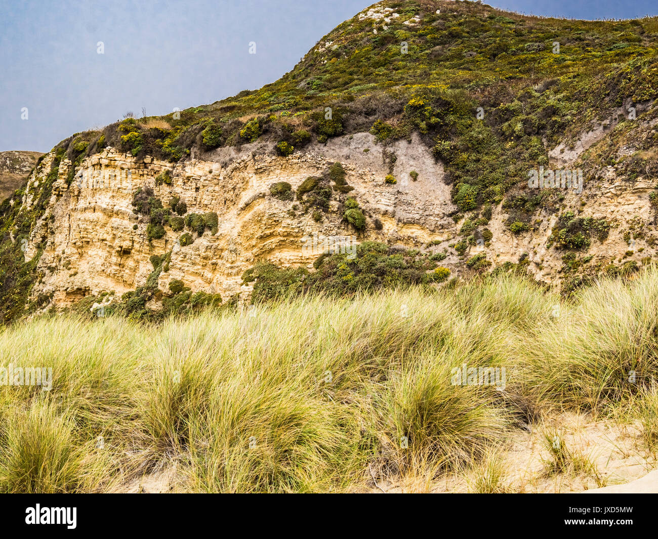 kehoe beach, pt reyes national seashore, ca us Stock Photo - Alamy