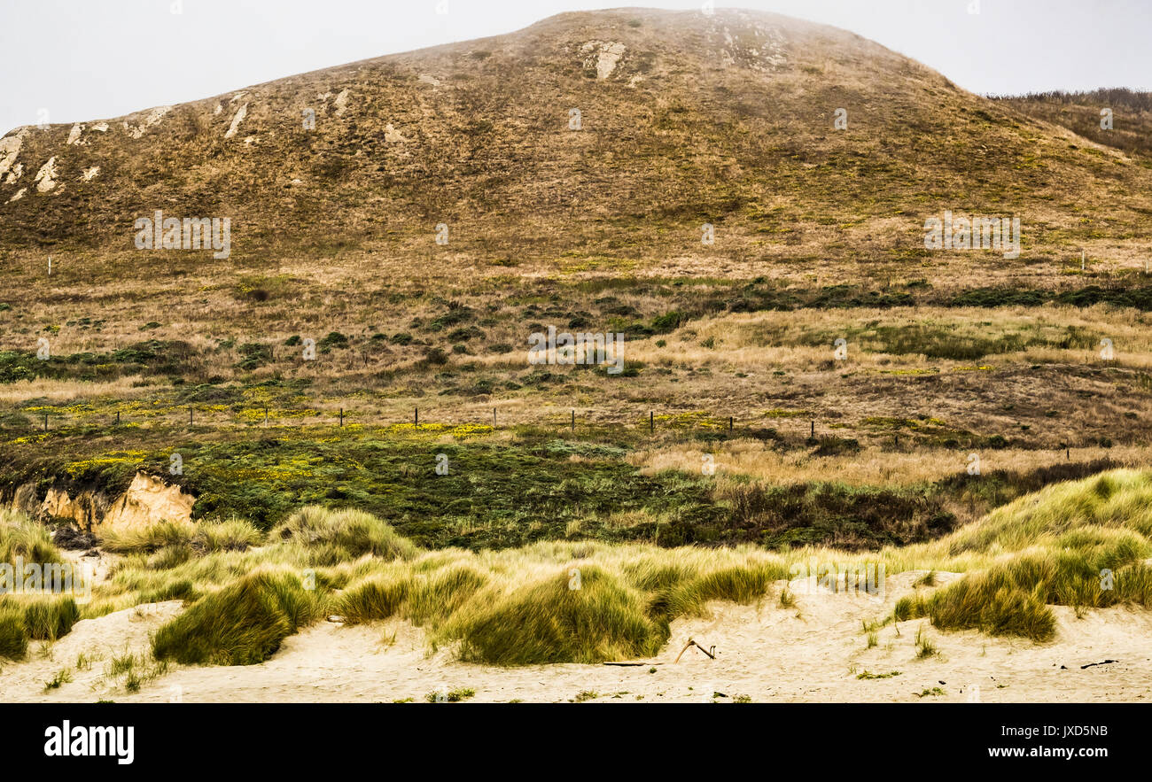 kehoe beach, pt reyes national seashore, ca us Stock Photo - Alamy