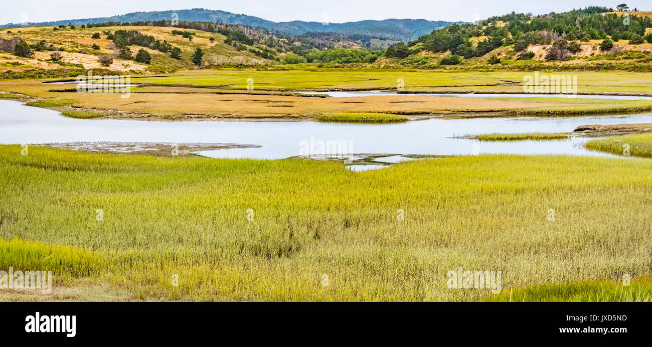 Limantour hi-res stock photography and images - Alamy