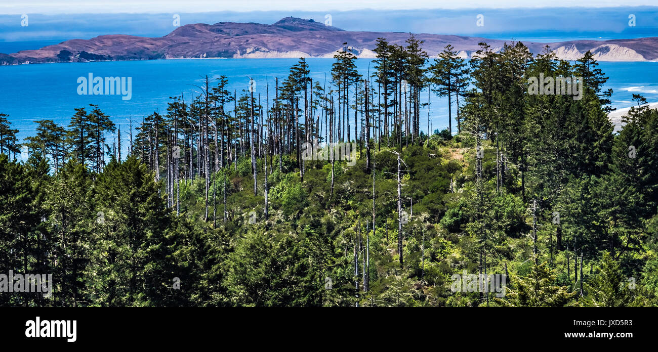 Drakes beach national seashore hi-res stock photography and images - Alamy