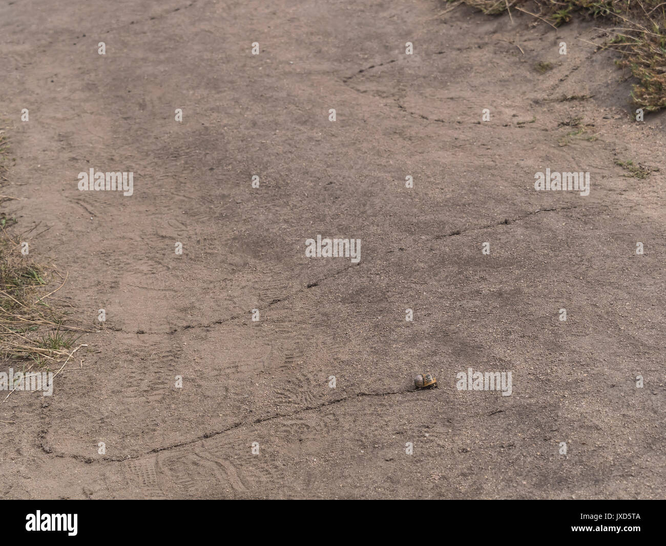 Snail trail hi-res stock photography and images - Alamy