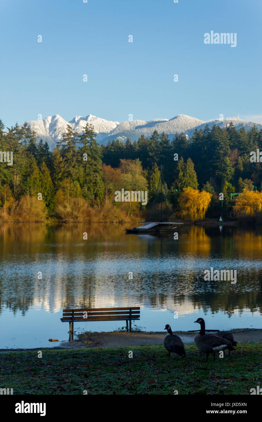 Fall landscape with colorful forest snow covered mountains and lake ...
