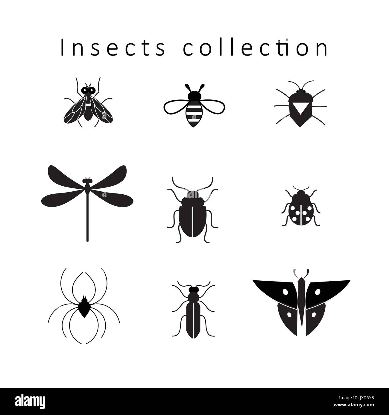 Vector set of different insects isolated on white background Stock ...