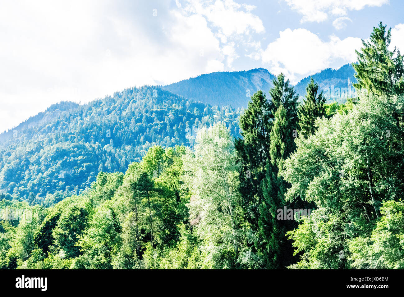 Beautiful green environment hi-res stock photography and images - Alamy