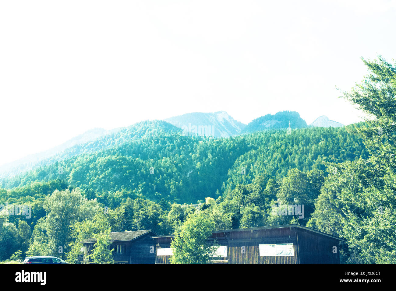 Beautiful green environment hi-res stock photography and images - Alamy