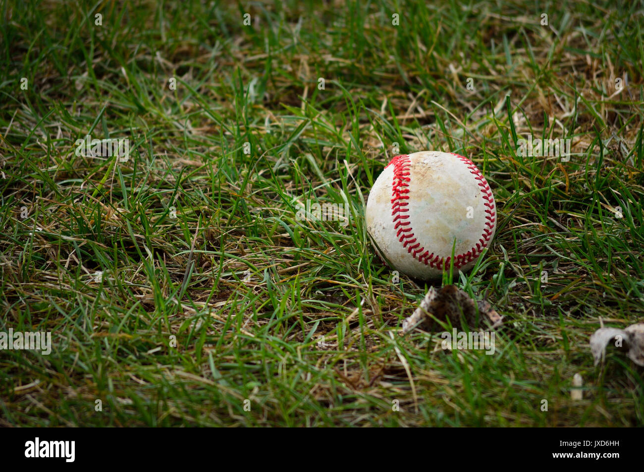 Baseball on grass hi-res stock photography and images - Alamy