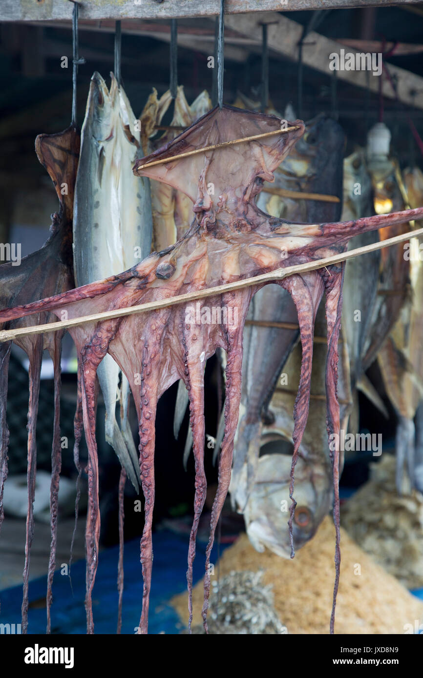 Dried octopus for sale on side of road in Aceh Stock Photo - Alamy