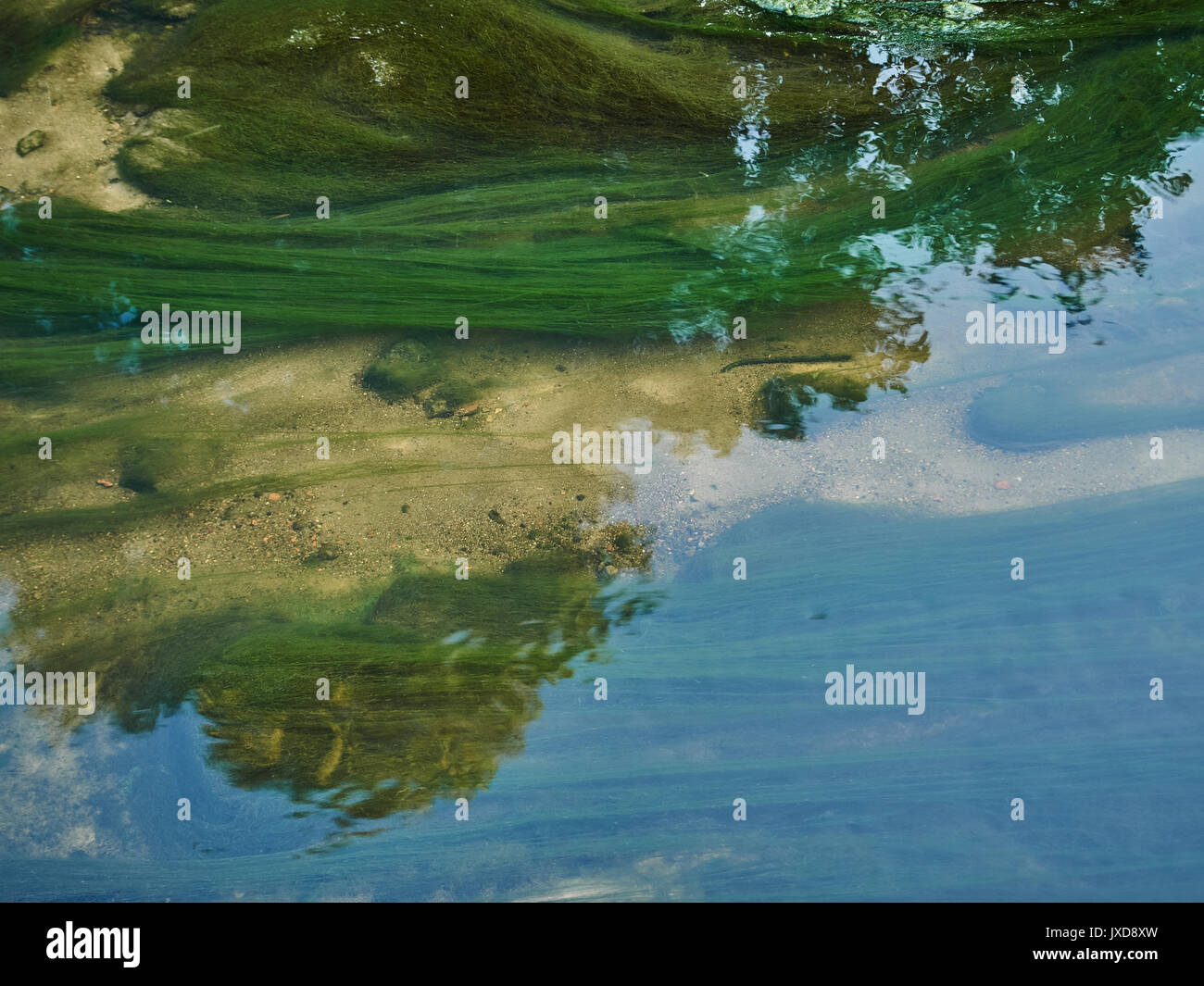 The river is polluted by green algae and plastic cups. The center of ...