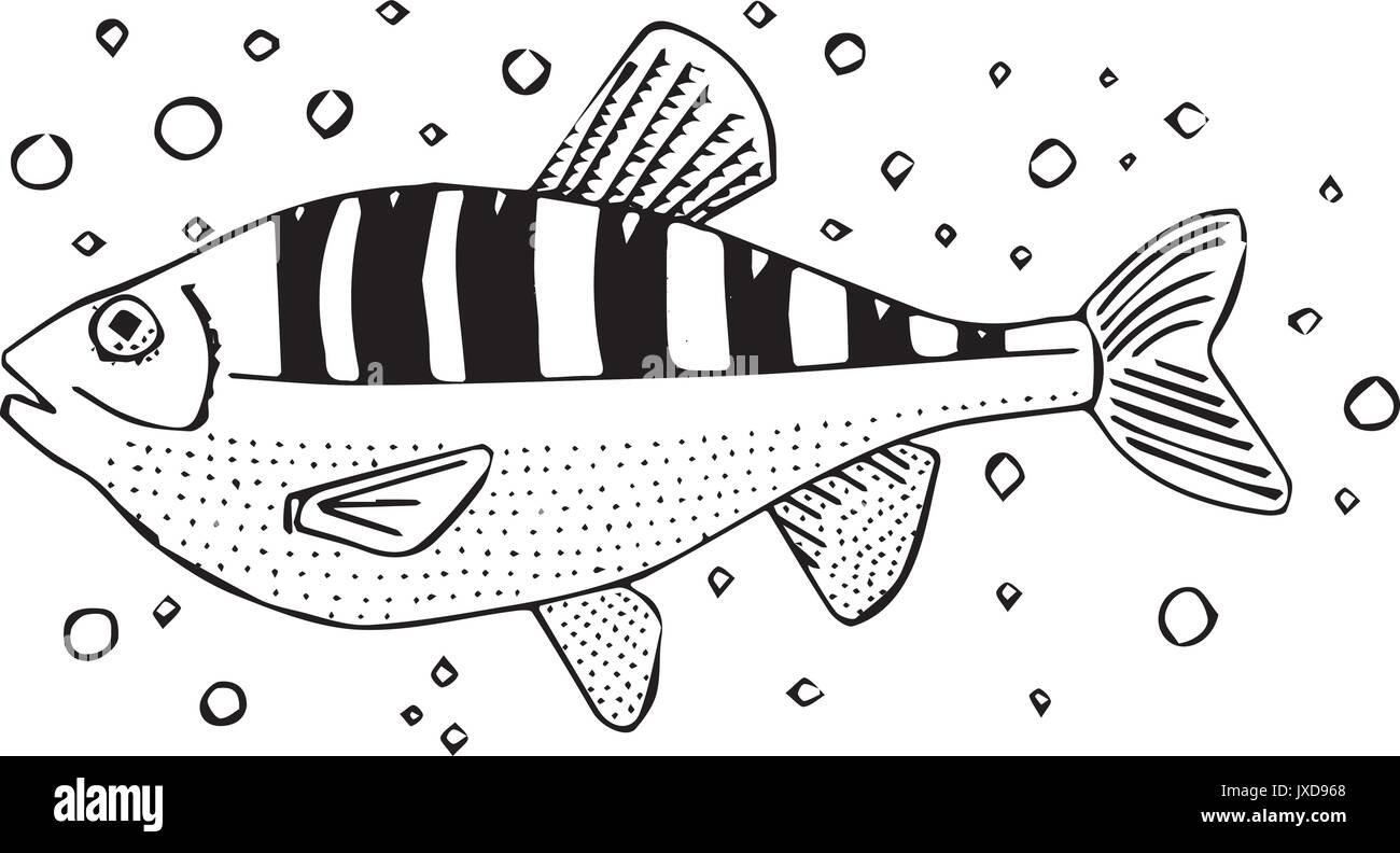 Minnow pen and ink Stock Vector Image & Art - Alamy