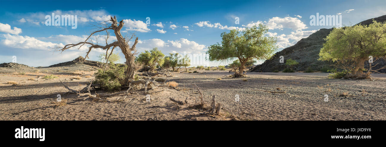 Beautiful plain hi-res stock photography and images - Alamy