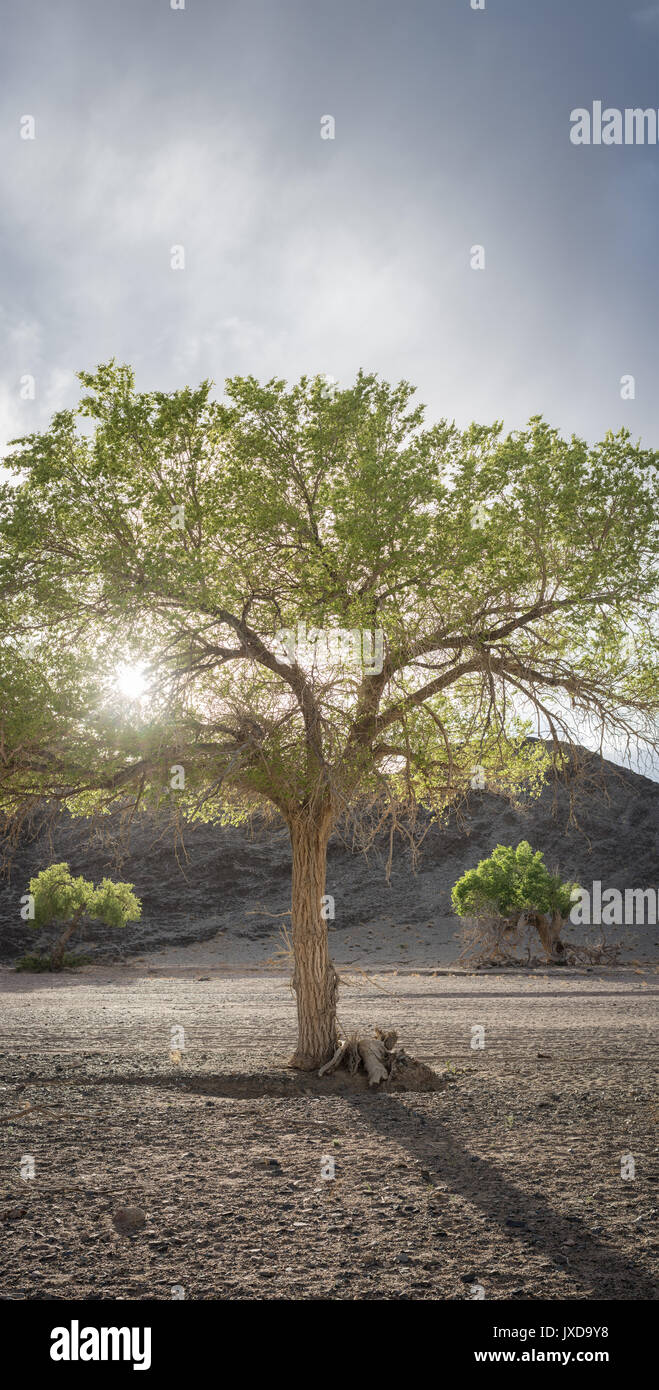 Beautiful plain hi-res stock photography and images - Alamy