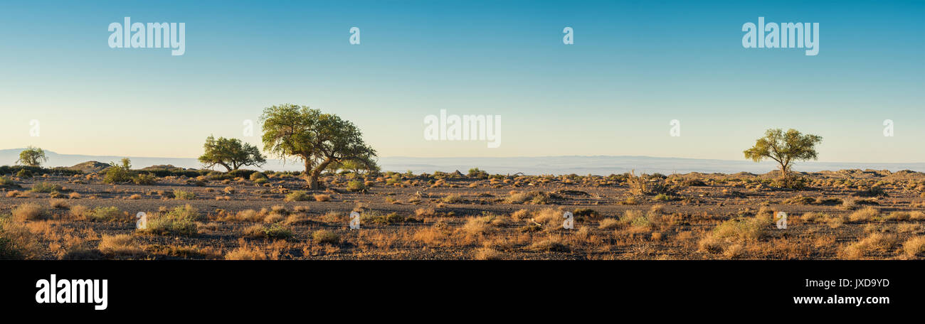 Beautiful plain hi-res stock photography and images - Alamy