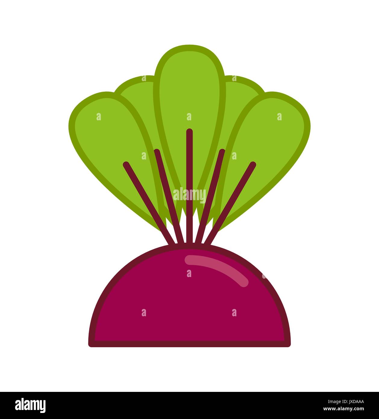 Pile of beets Stock Vector Images - Alamy