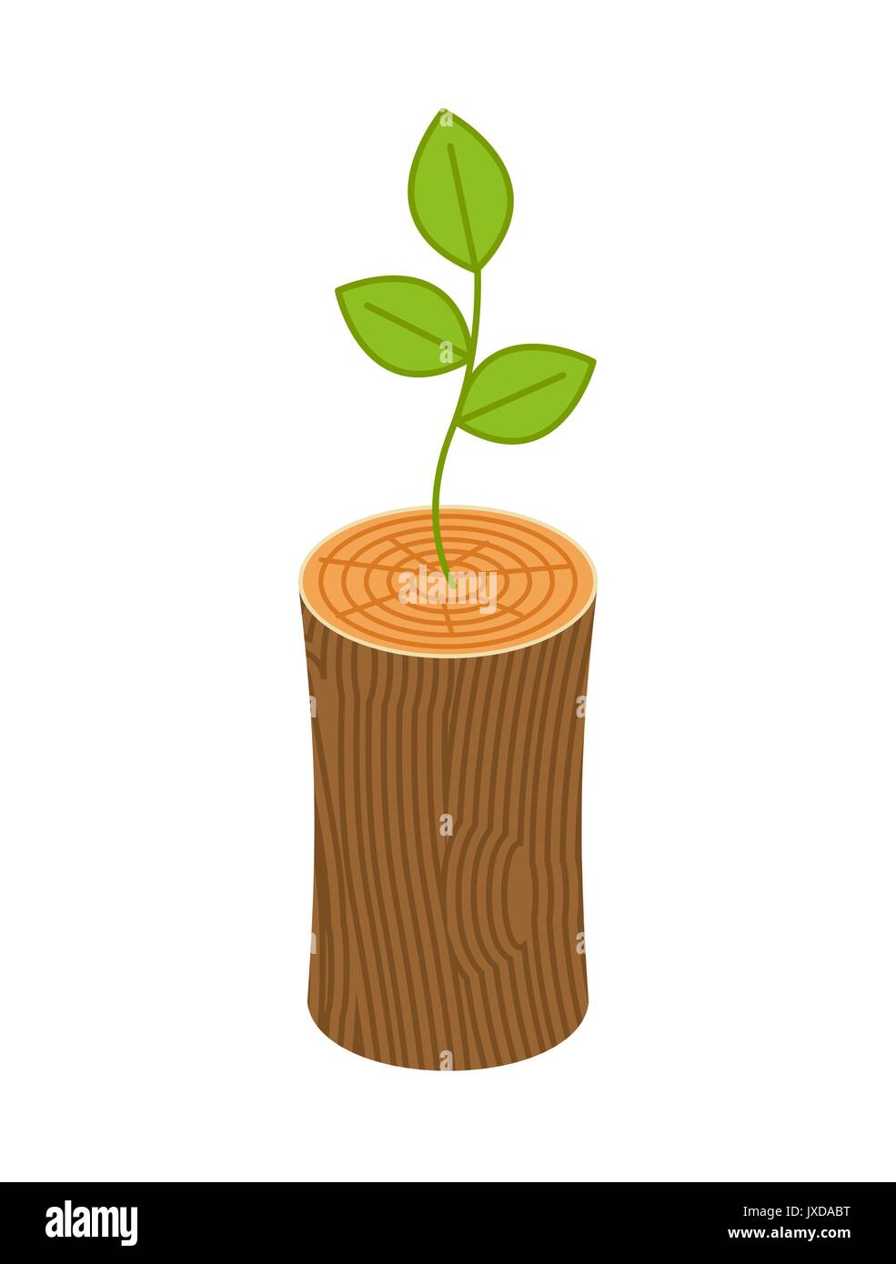 Sprout from logs. New life concept. young plant from Wooden billet ...