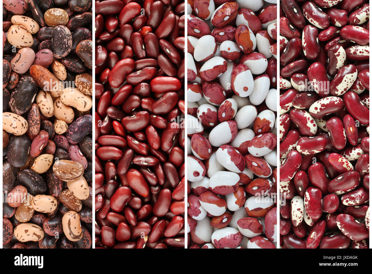 Kidney beans collage - raw purple, pink with brown, beige with brown ...