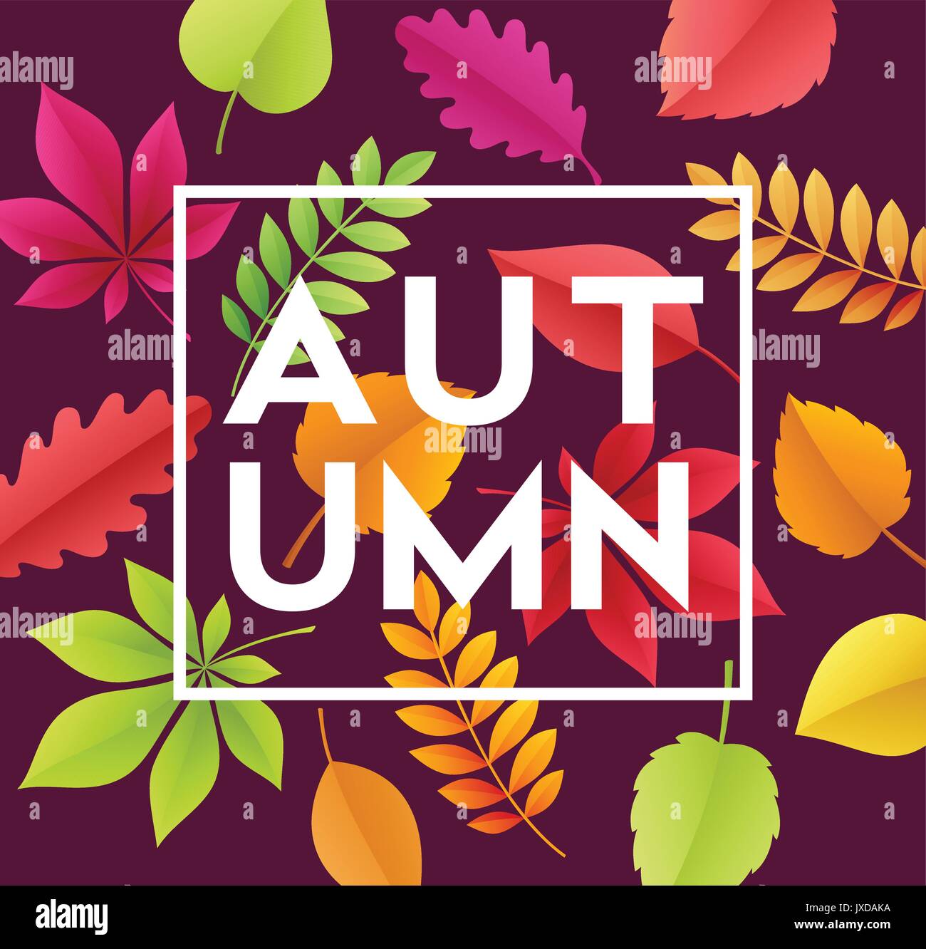 Autumn banner background with paper fall leaves. Vector illustration ...