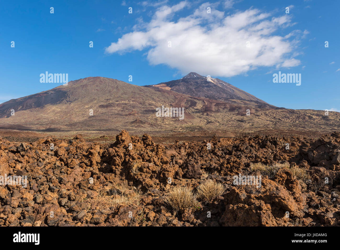Mount Teide volcano viewed from the Roques de Garcia, Teide National ...