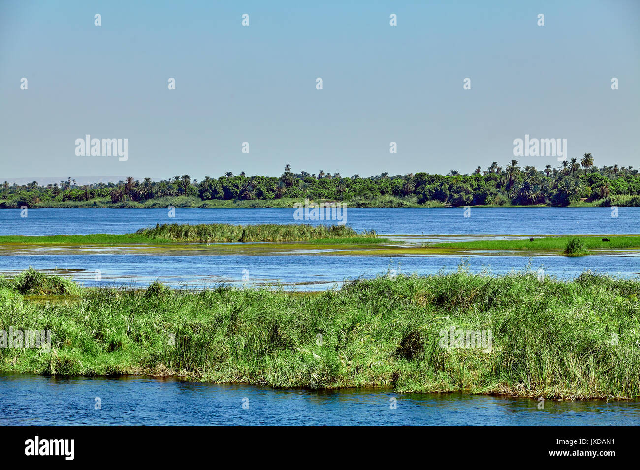 River Nile in Egypt. beautiful landscape Stock Photo - Alamy