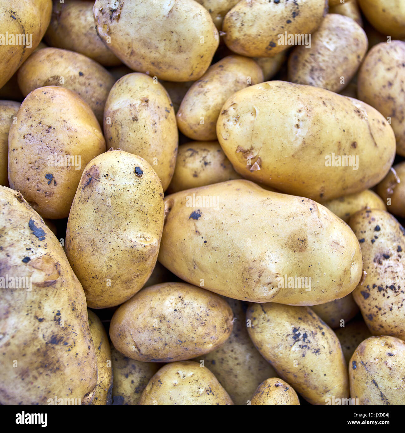 Fresh organic potato. potatoes texture Stock Photo - Alamy