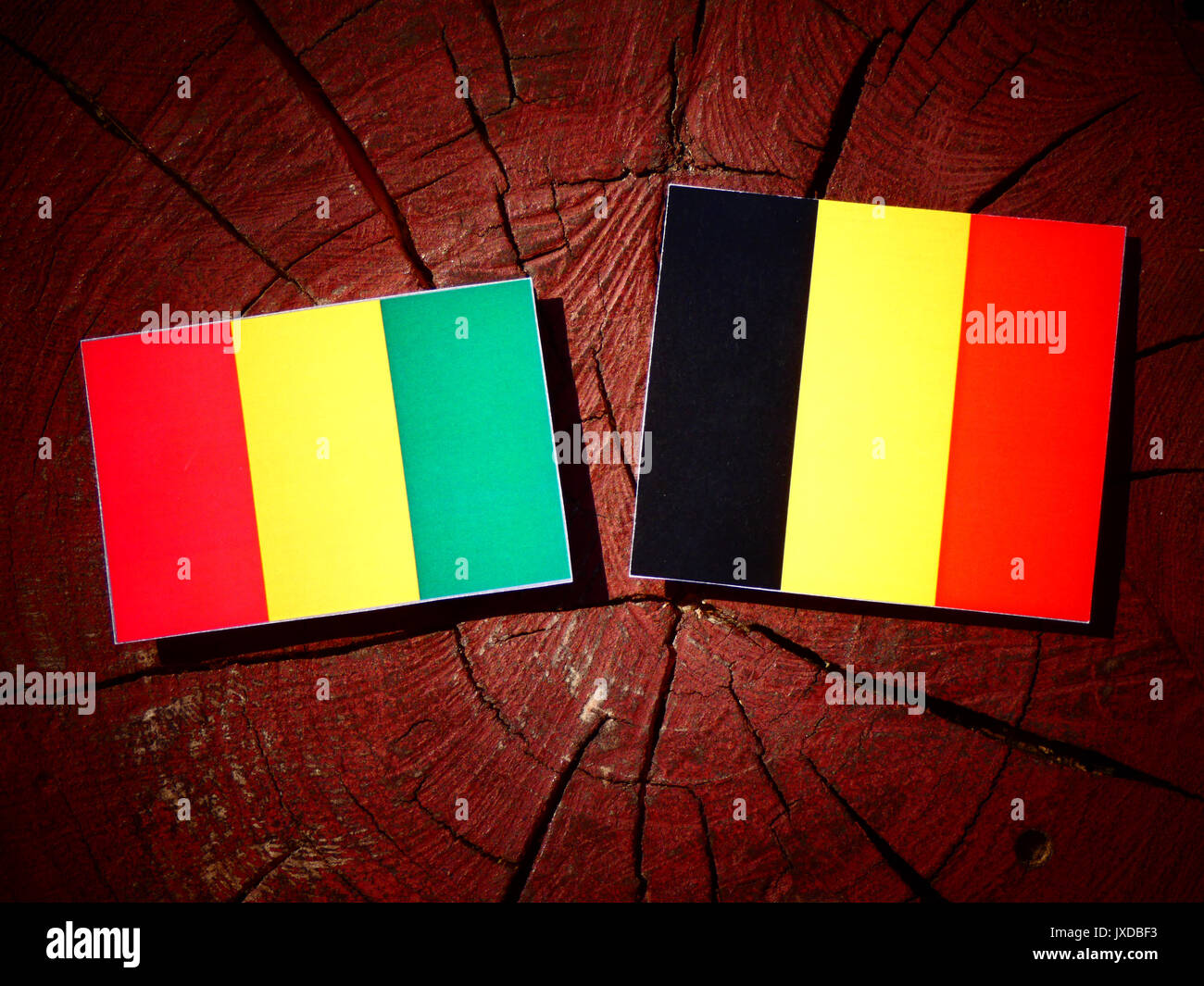 Belgium guinea conflict hi-res stock photography and images - Alamy