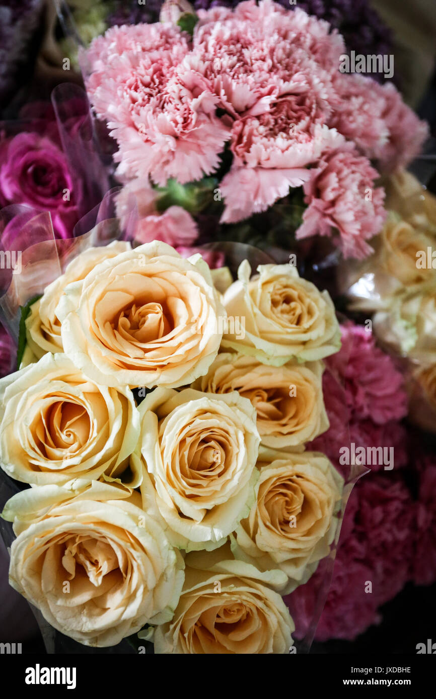 group of orange roses and pink carnation Stock Photo - Alamy