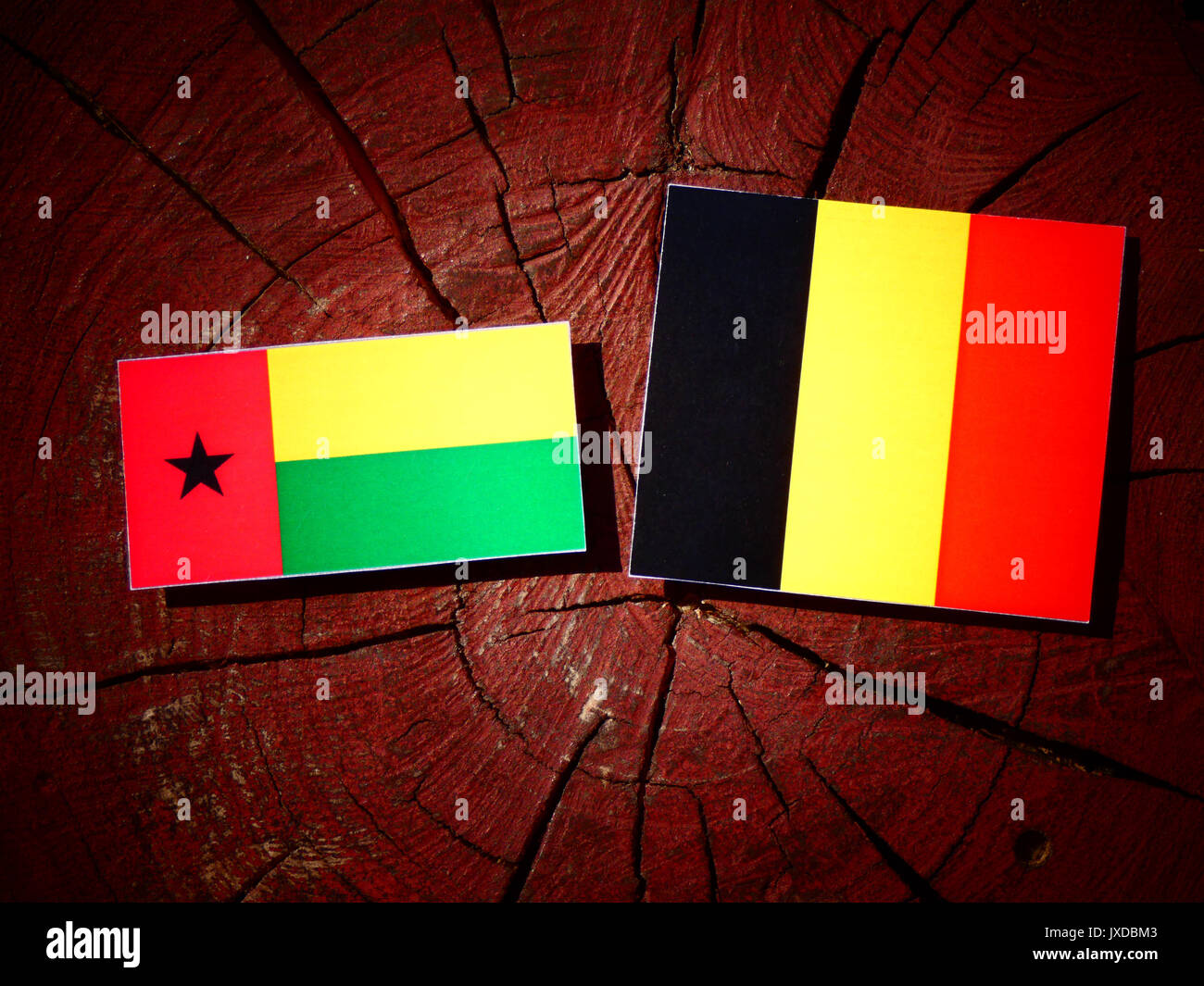 Guinea Bissau flag with Belgian flag on a tree stump isolated Stock ...