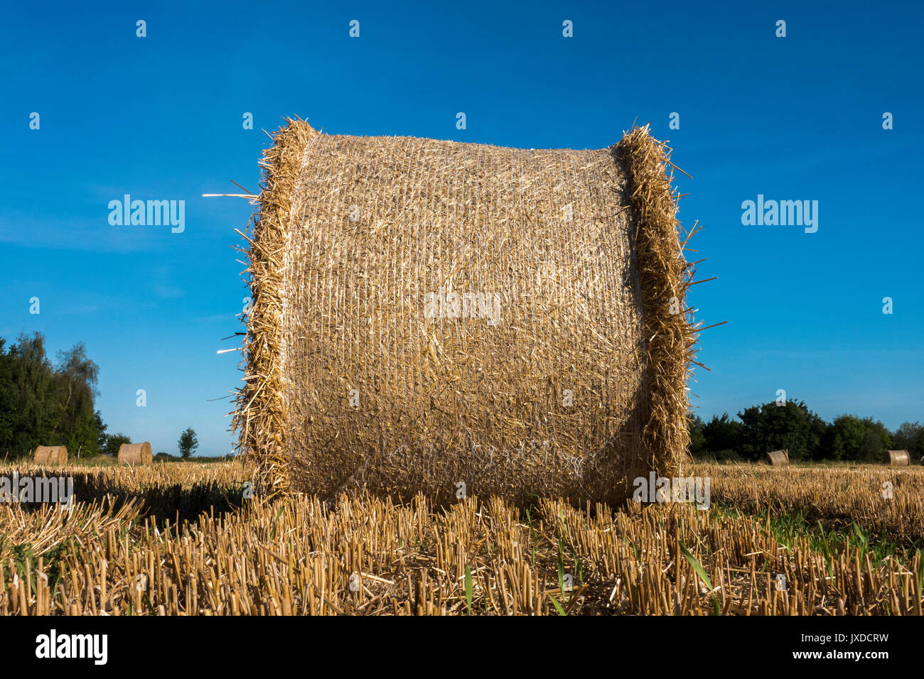 Harvesting Uk England Bales Stock Photos & Harvesting Uk England Bales ...