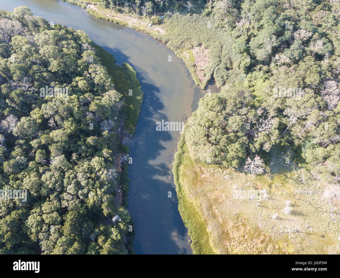 Narrow channels wind through a marsh on Cape Cod, Massachusetts ...