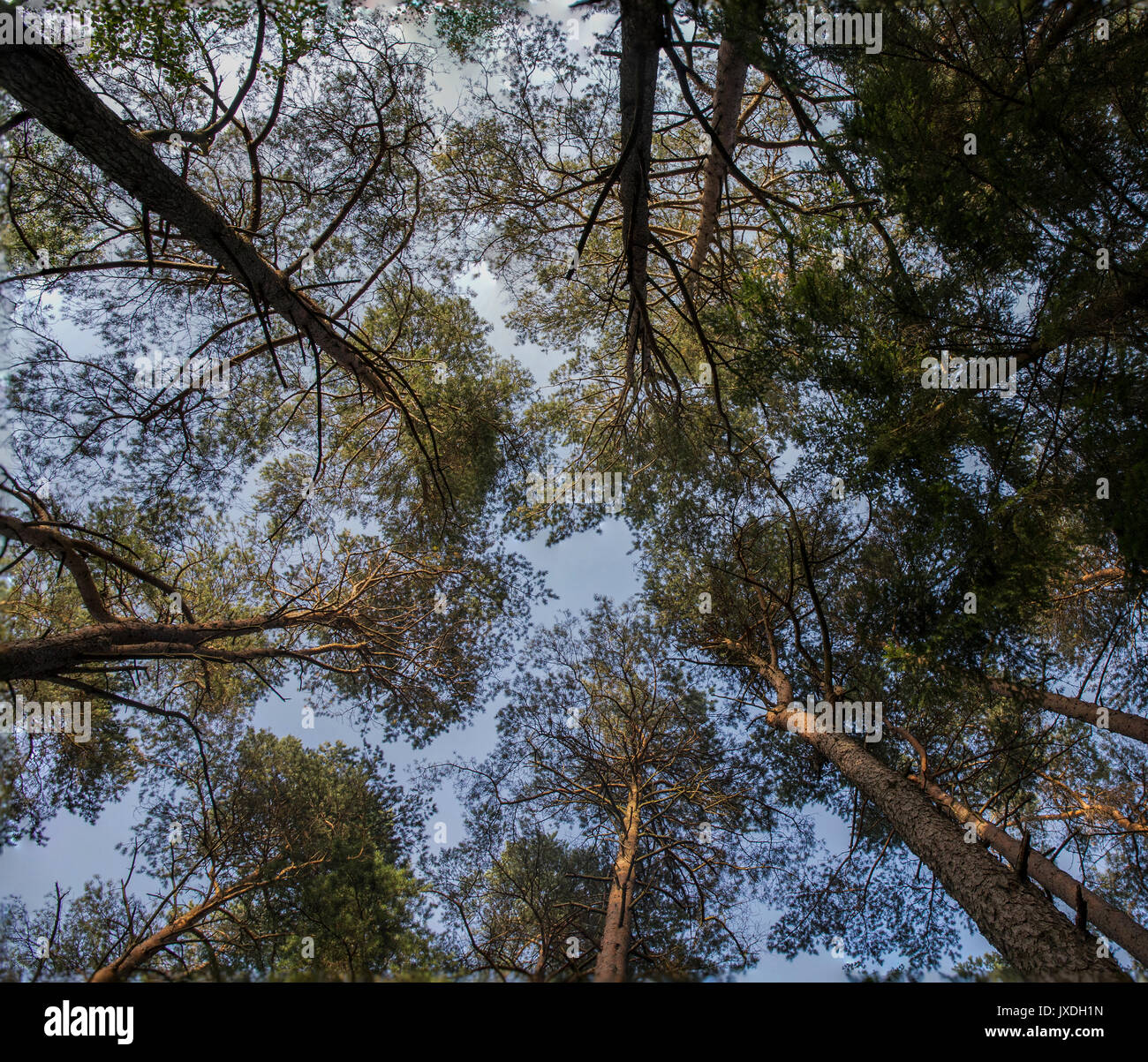 Bergsjon hi-res stock photography and images - Alamy