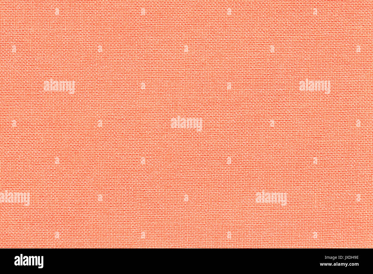 Light Coral Background