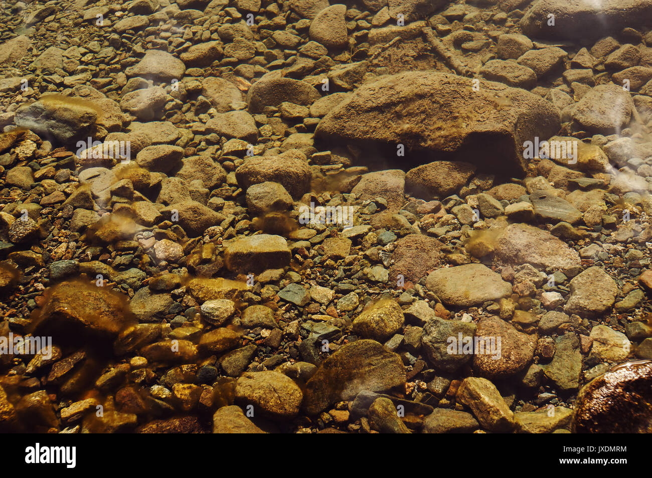 Stones under water at the bottom of the river Stock Photo - Alamy