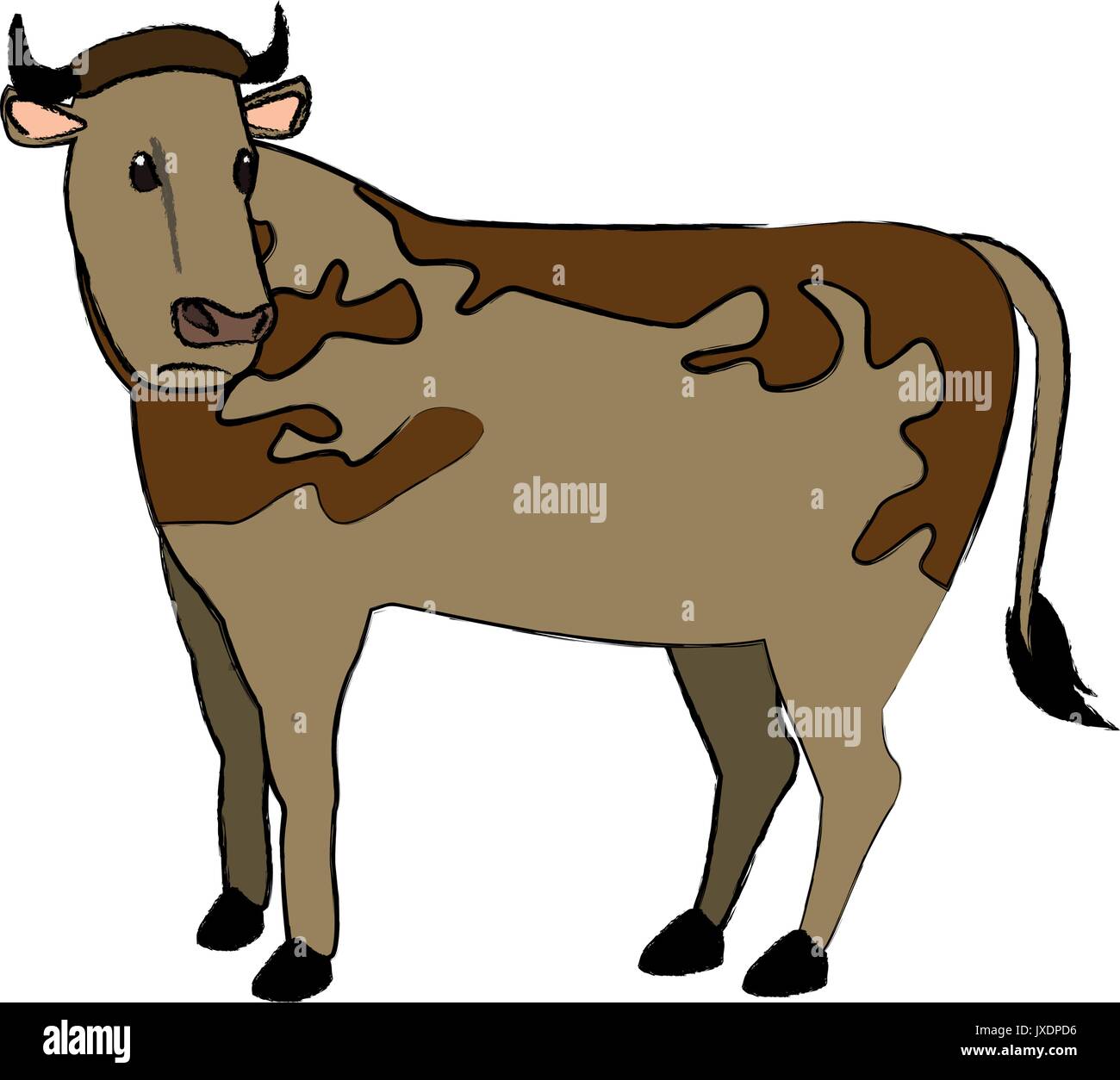 Domestic cow side view Stock Vector Images - Alamy