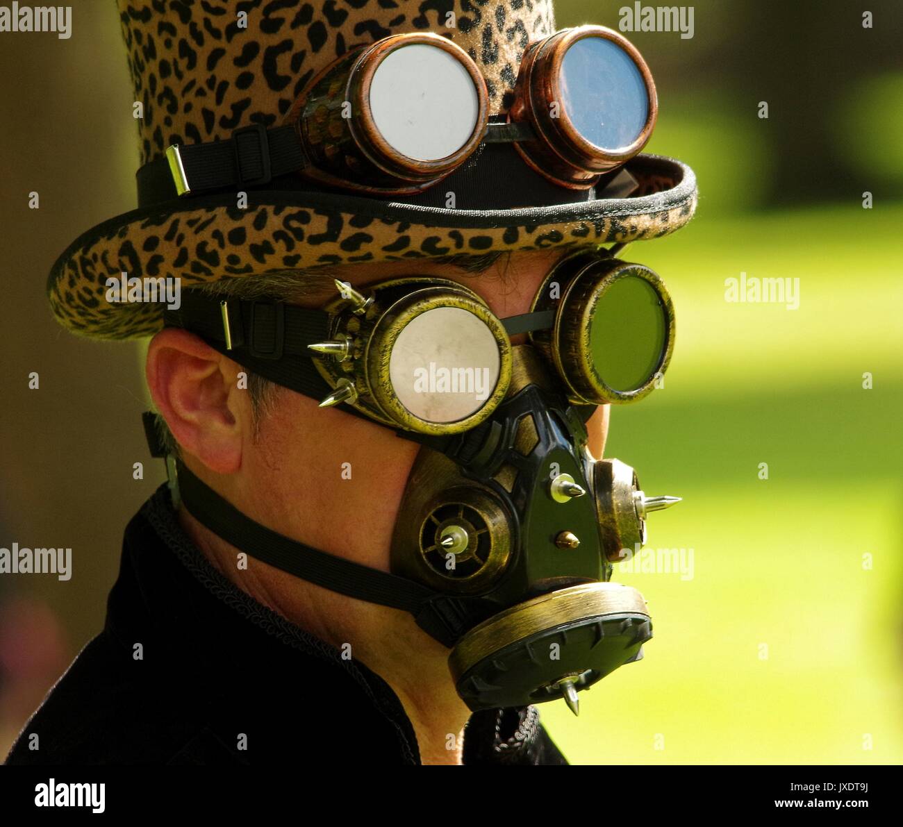 sheffield steampunk botanical gardens 2017 Stock Photo - Alamy
