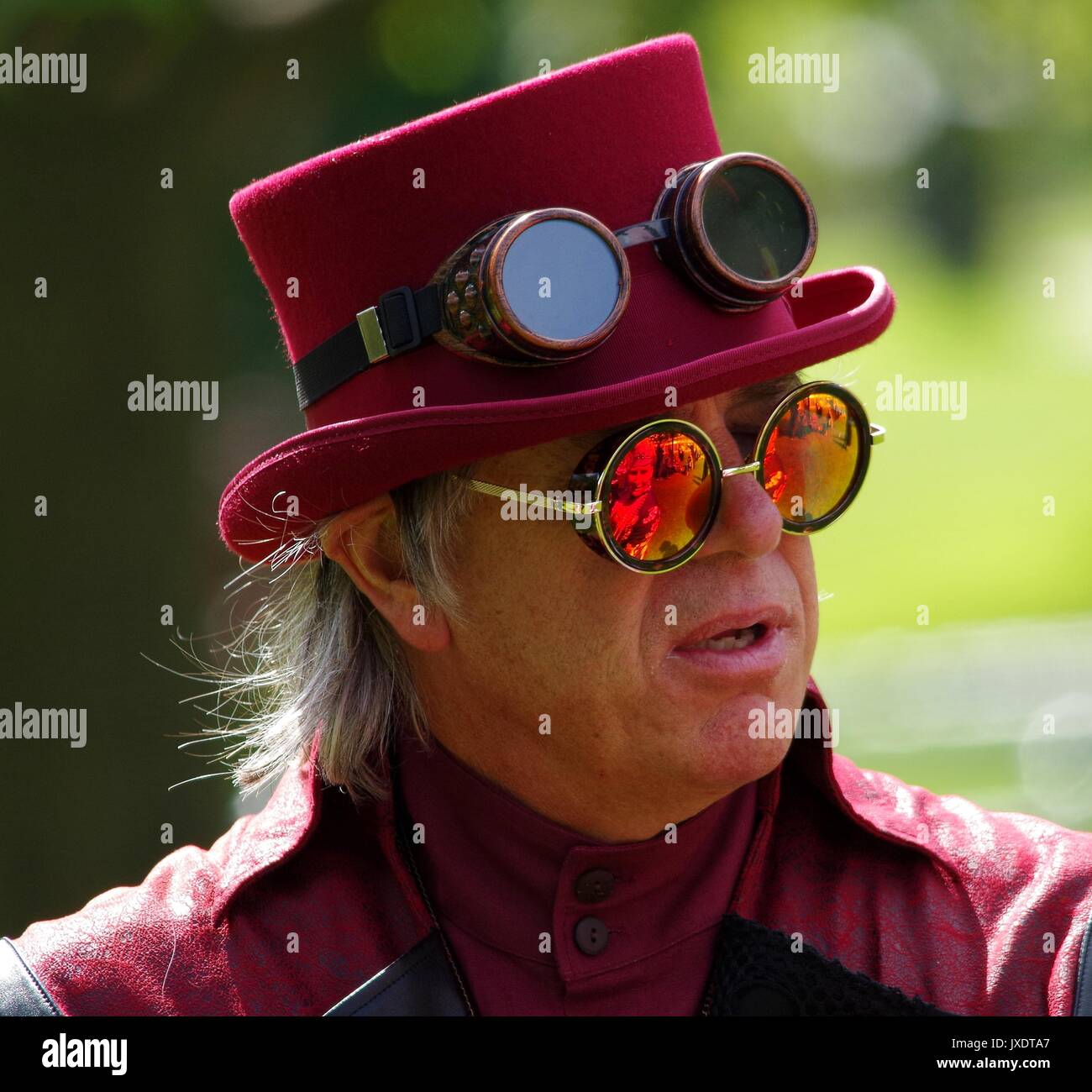sheffield steampunk botanical gardens 2017 Stock Photo - Alamy