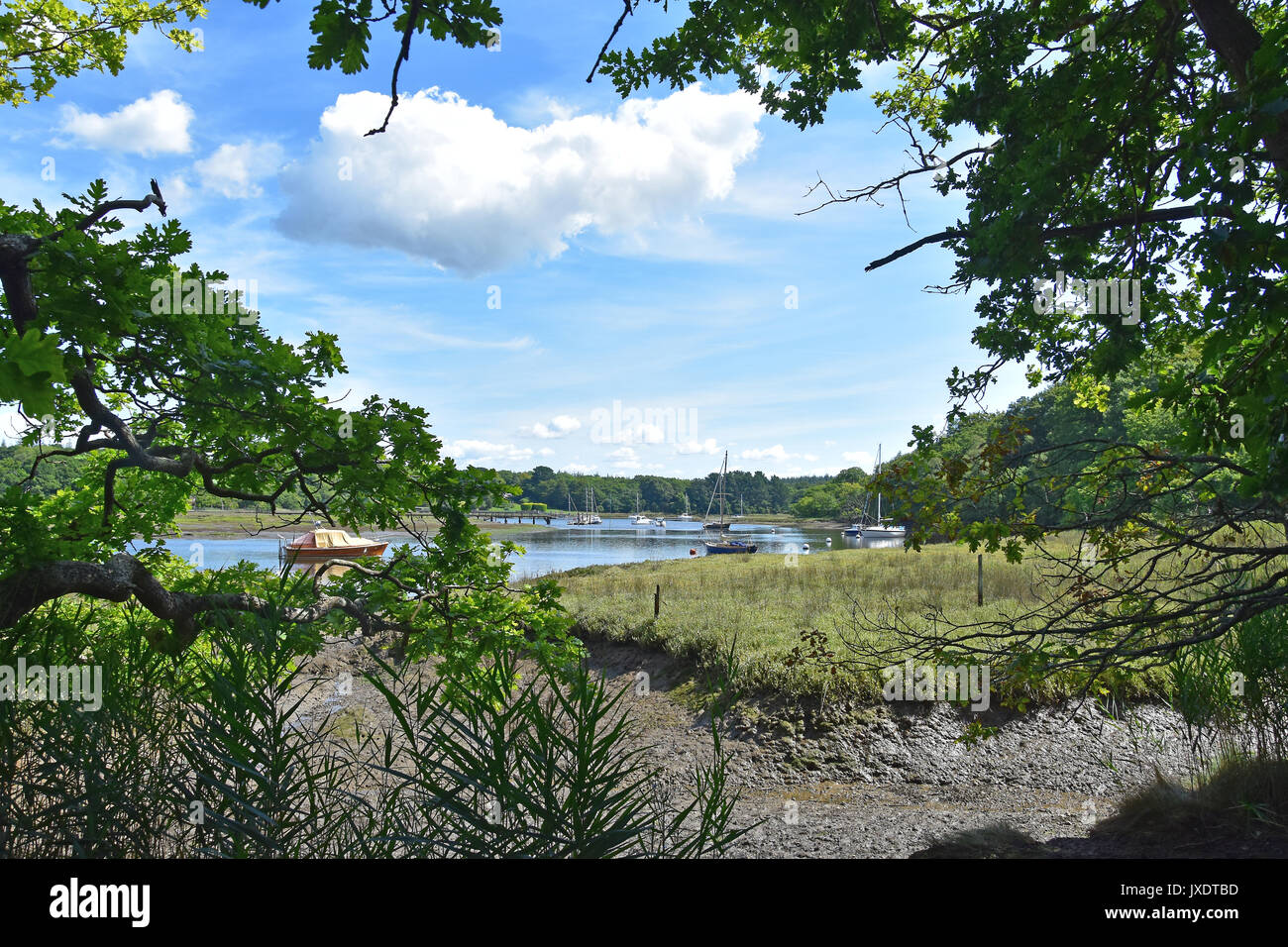 Boats moored along Beaulieu river, New Forest, England Stock Photo - Alamy