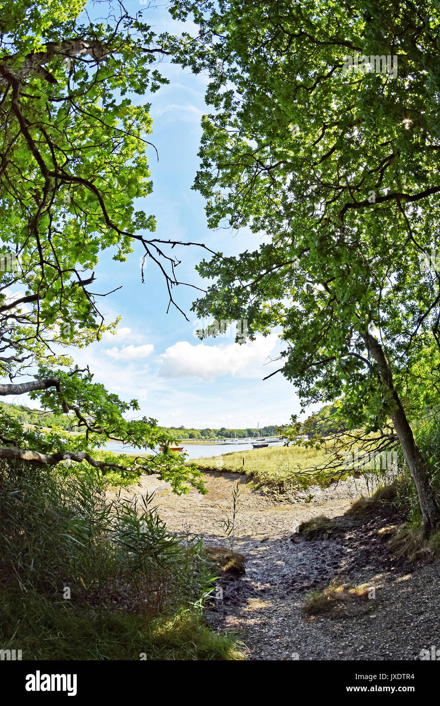 Beaulieu river, new forest hi-res stock photography and images - Alamy