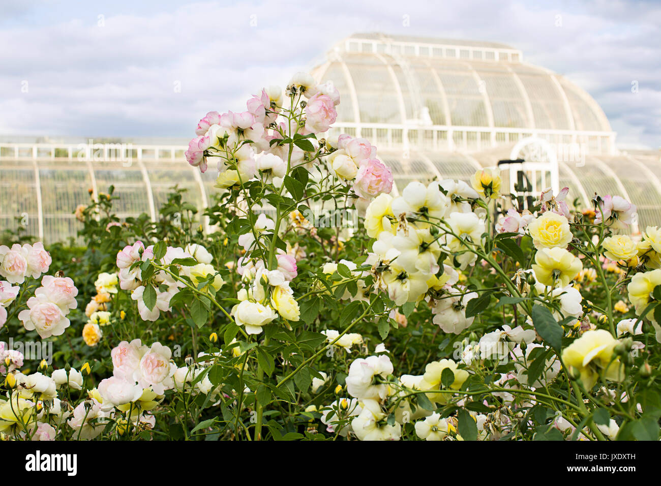 Kew Gardens and its flowers Stock Photo - Alamy