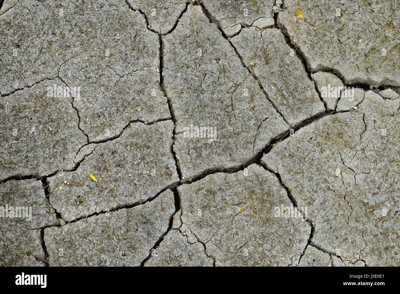 Cracked Mud texture with interesting shapes and cracks Stock Photo - Alamy