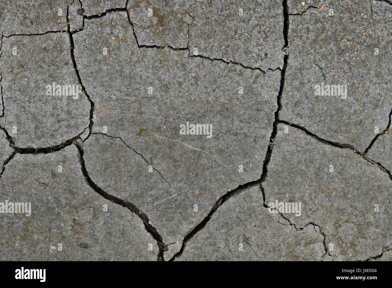 Cracked Mud texture with interesting shapes and cracks Stock Photo - Alamy