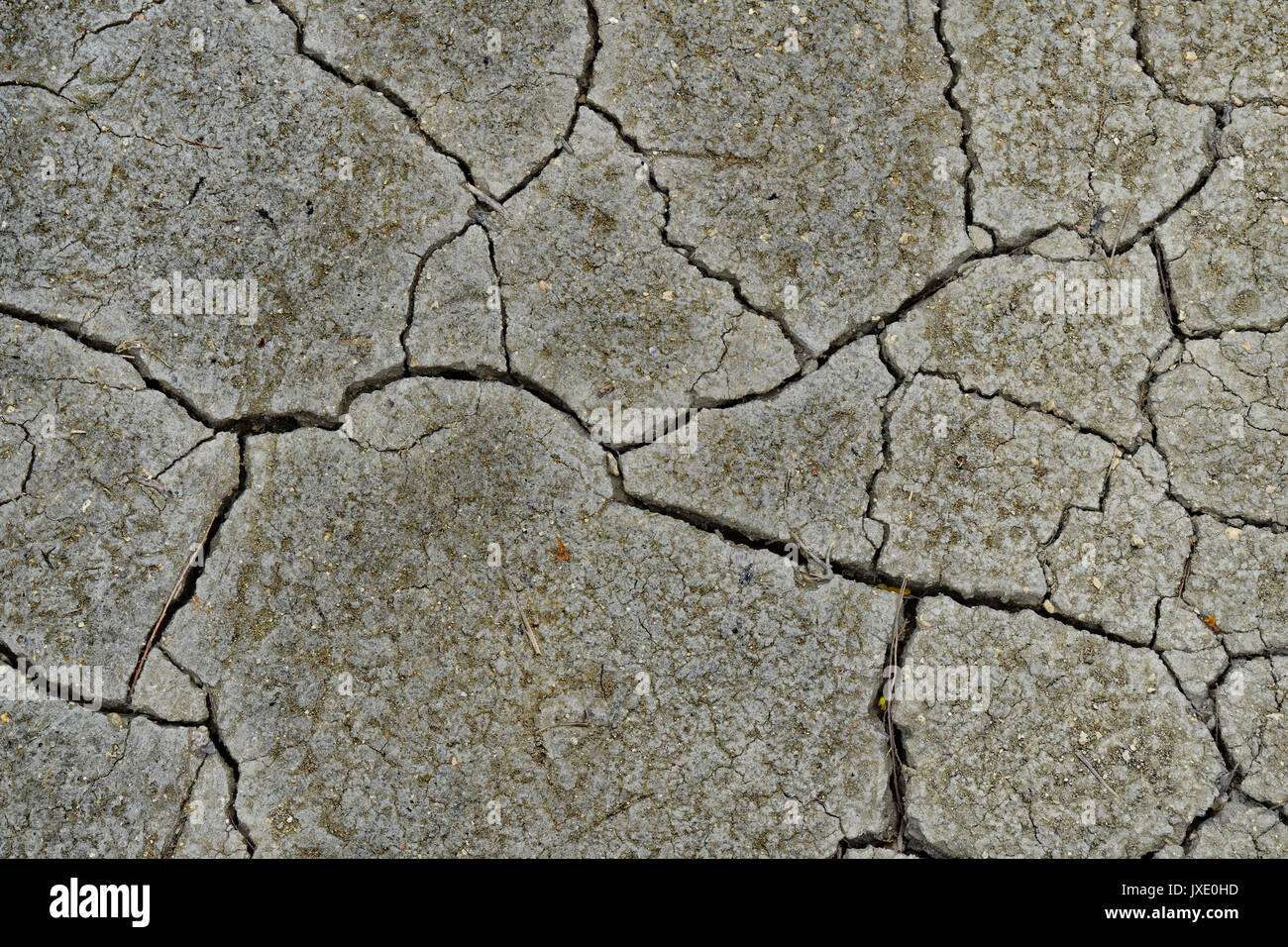 Cracked Mud texture with interesting shapes and cracks Stock Photo - Alamy