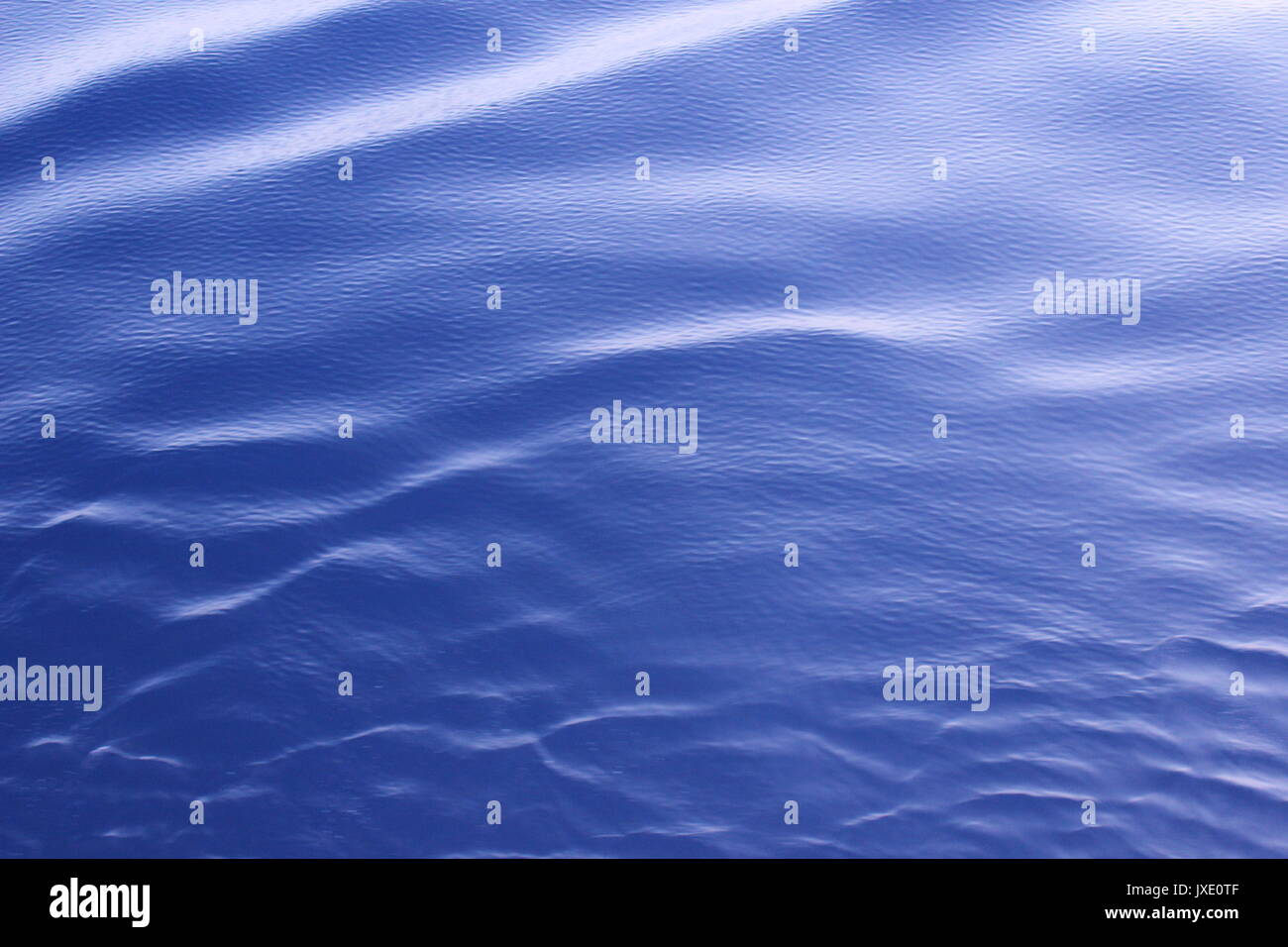 Deep sea fish dark hi-res stock photography and images - Alamy