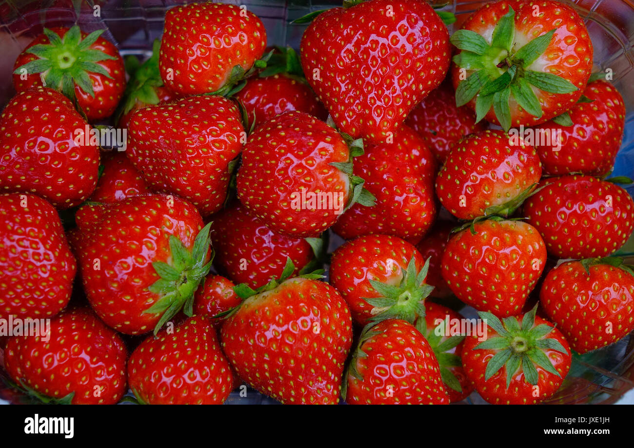 Red strawberry fruits at rural market in Pushkin Village, Saint ...